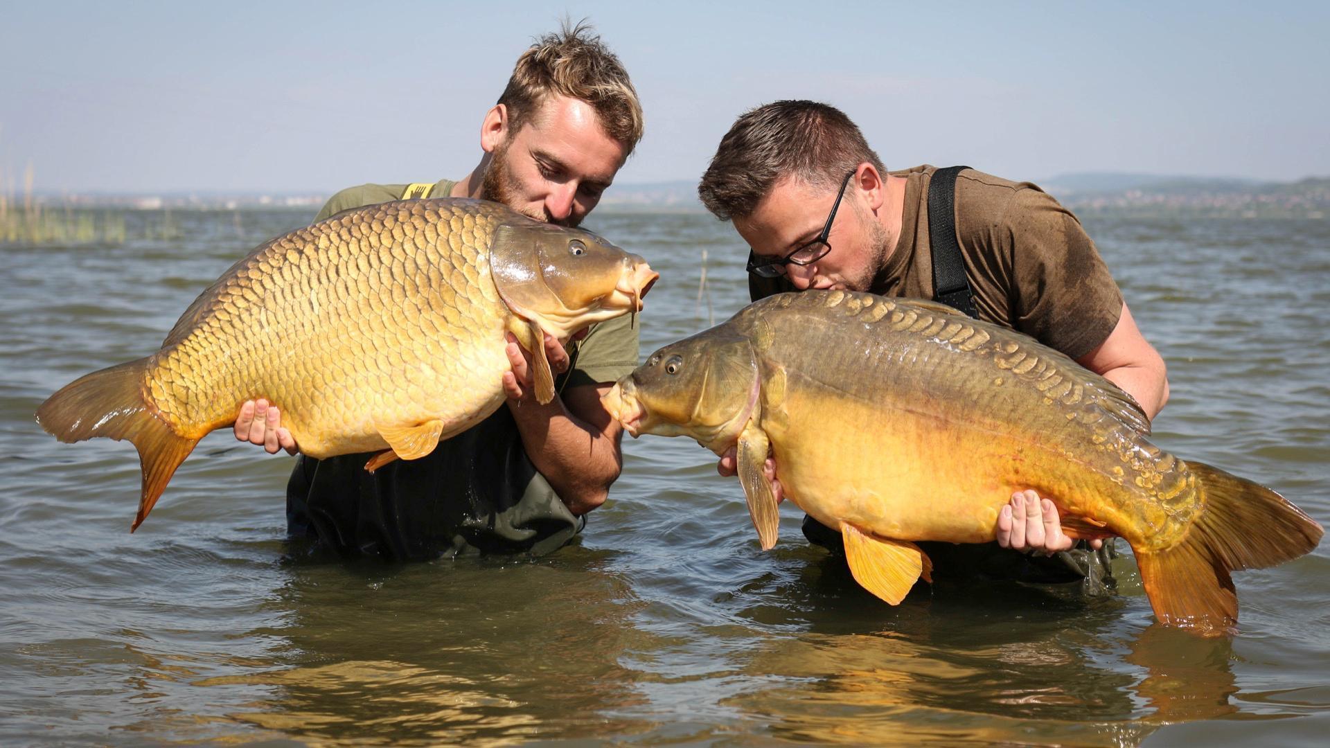 Monster Carp - Series 1 - Episode 2 - ITVX