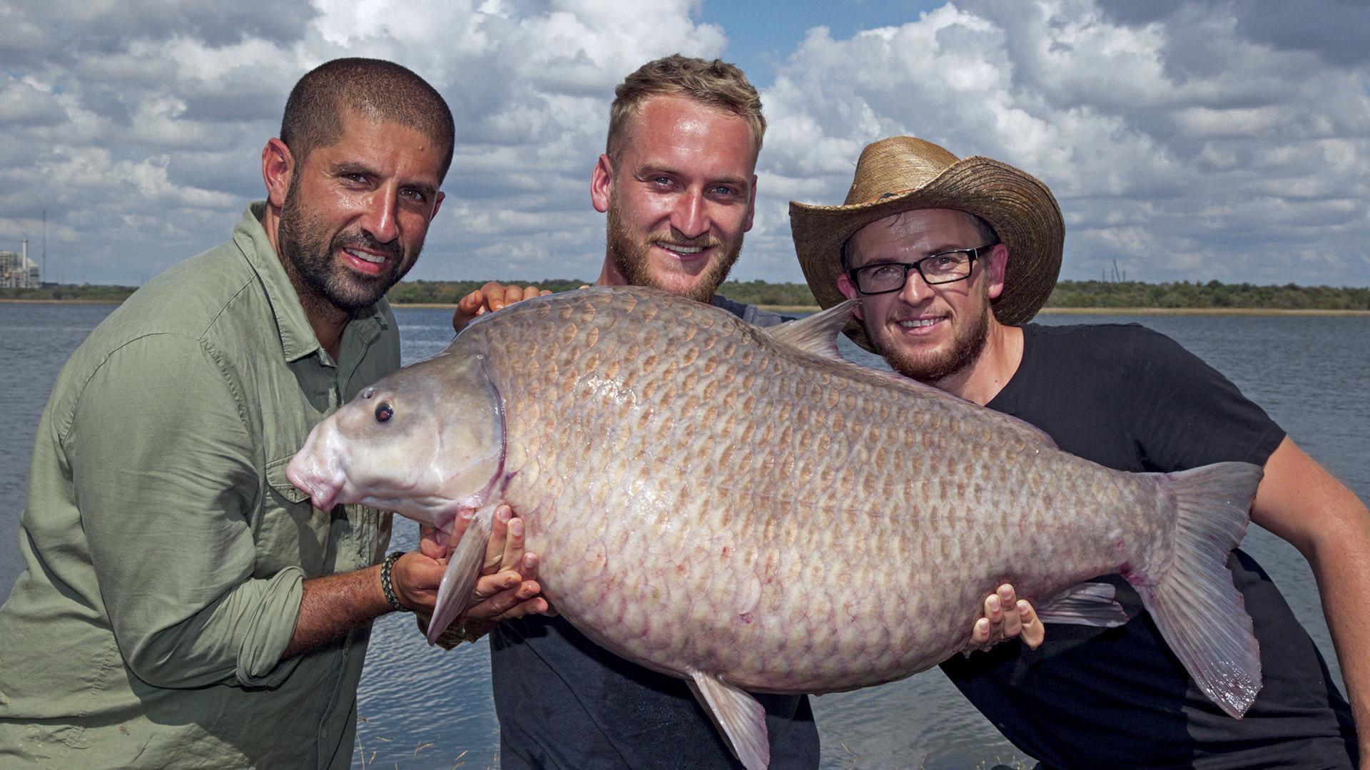 Monster Carp - Series 2 - Episode 1 - ITVX