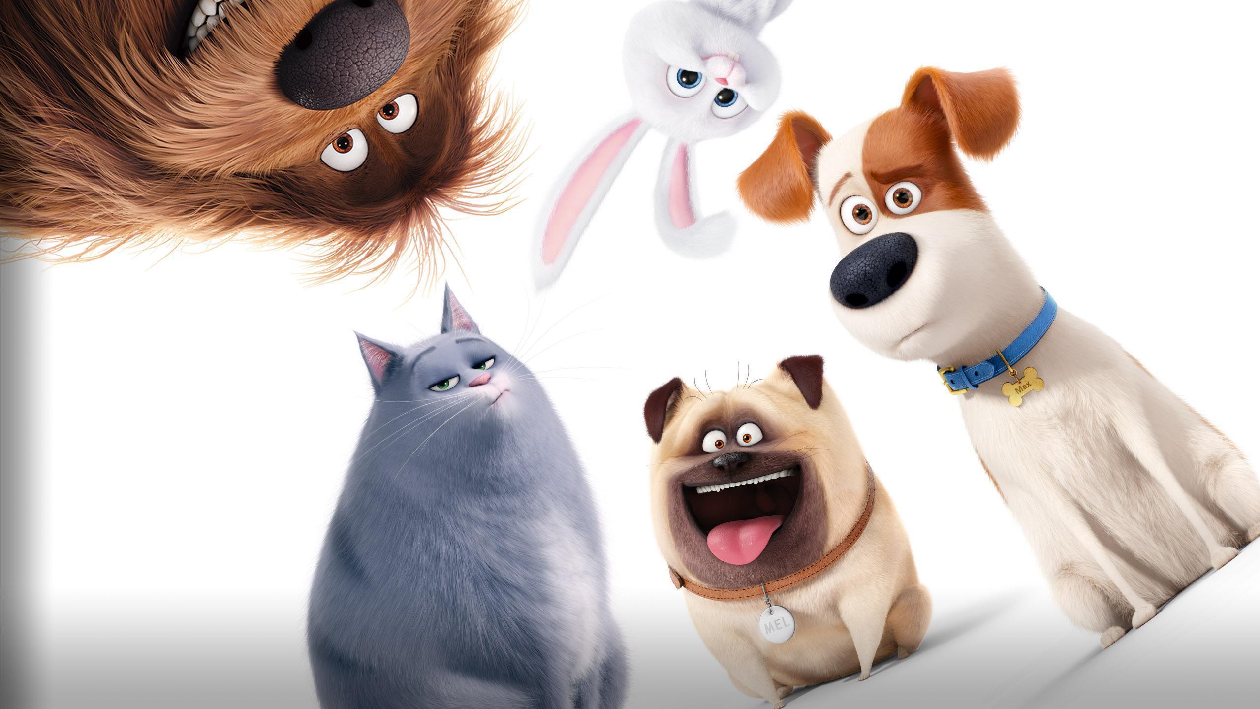 The Secret Life of Pets - ITVX