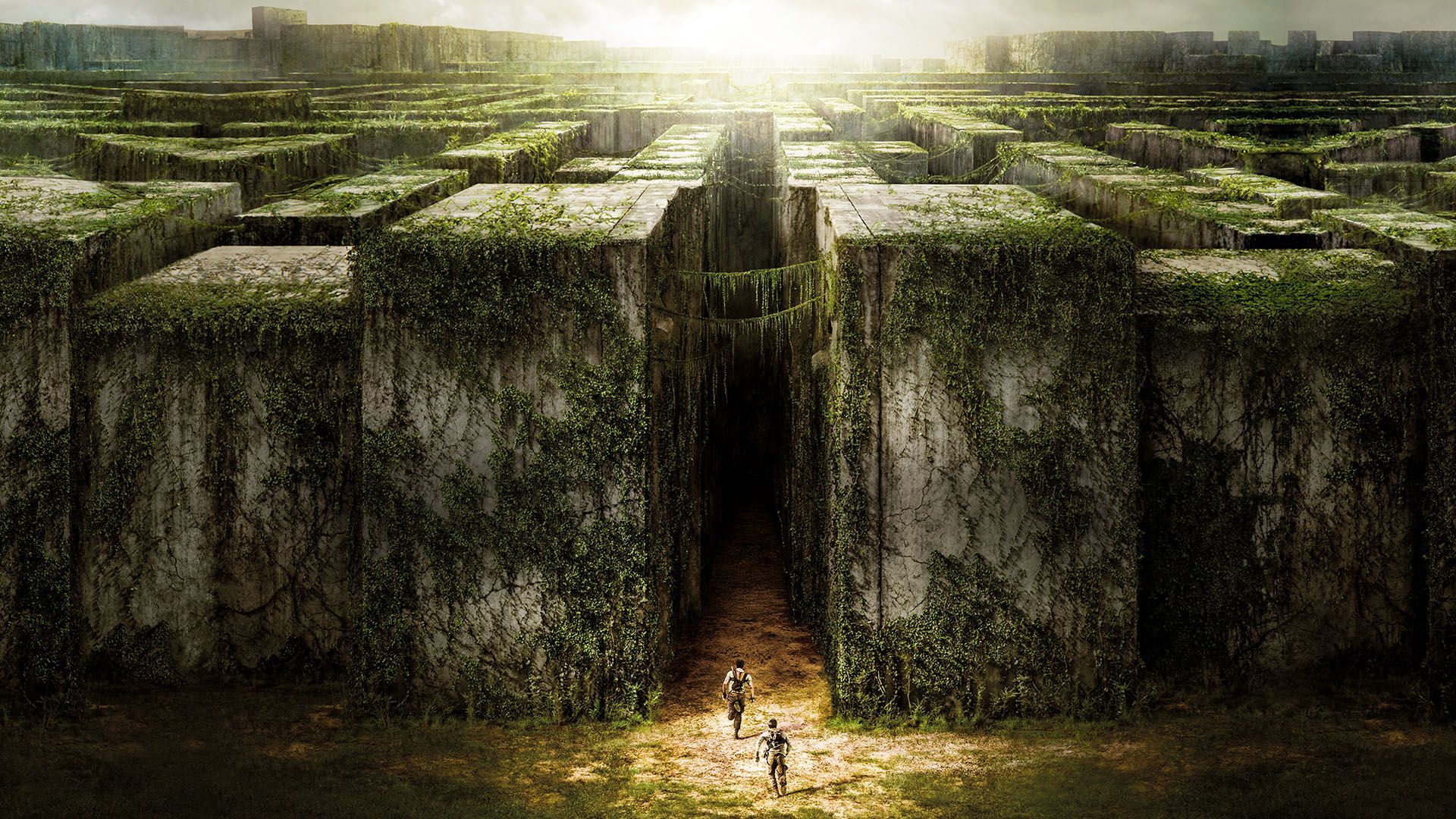 The Maze Runner Maze Model