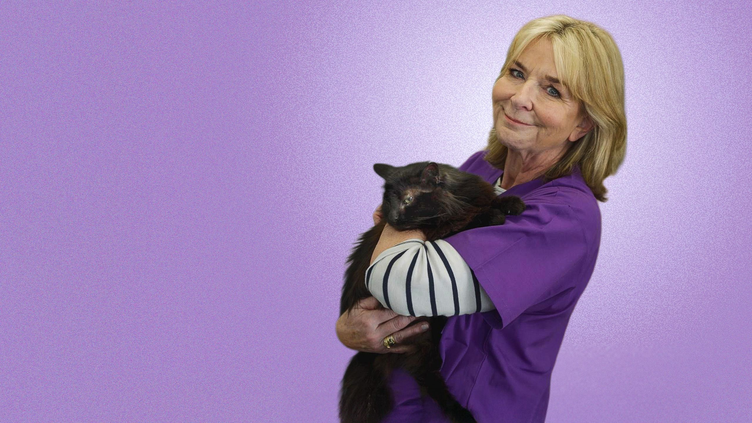 Fern Britton: Inside the Vet's - Series 1 - Episode 1 - ITVX