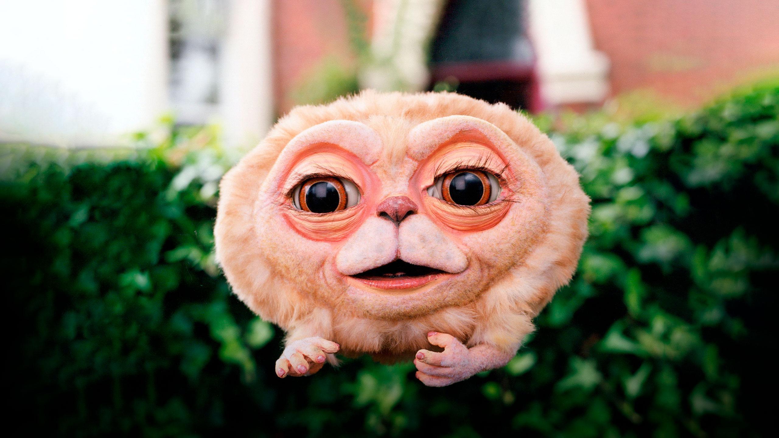 Whizziwig - Watch Episode - ITVX